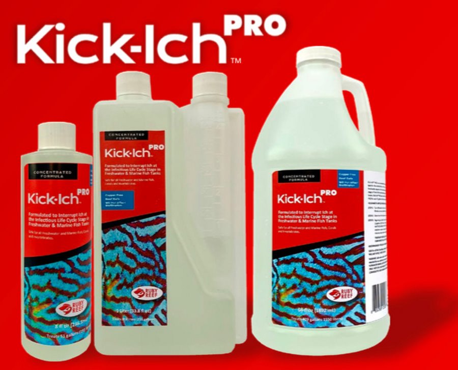 Ruby Reef Kick-Ich Pro 2 L - King Tropicals